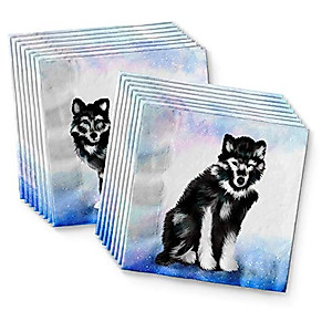 Wolf Birthday Party Supplies Set Plates Napkins Cups Tableware Kit for 16