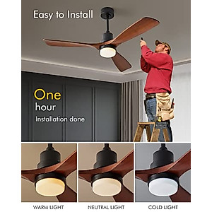 Chriari Ceiling Fans with Lights, 3 Wood Fan Blades, 52" Black Modern Ceiling Fan with Remote Control, Noiseless Reversible DC Motor for Bedroom/Living Room/Study/Patio