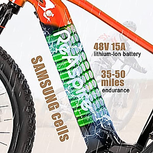 FIOTAS ReAspire Electric Bikes Adult 500W MID Motor Ebike 48V 15Ah Samsung Lithium Battery 27.5' Tire E Bikes 50Miles Mountain Electric Bicycle Dual Shock Absorbers Shimano 8-Speed(Reddish Black)