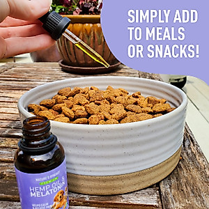 Nature's Synergy Melatonin and Hemp Oil for Dogs, Cats & Pets, 2 Pack, Calming Sleep Support, Omega Fatty Acids for Hip and Joint Support, Skin and Coat Health, Stress from Travel, Separation