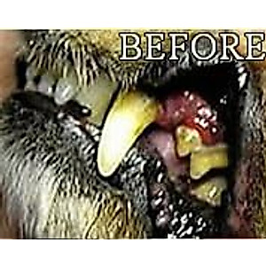 Plaque Attack Gel with Wild Salmon Oil. As Seen On TV Pet Dental, Don't Mess with Harsh Chemicals in Your pet's Food or Water, Simply Swipe on Teeth and Your pet's Teeth and Gums Will Improve.