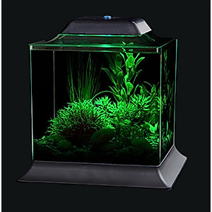Koller Products 1.5-Gallon AquaScene Aquarium with LED Lighting