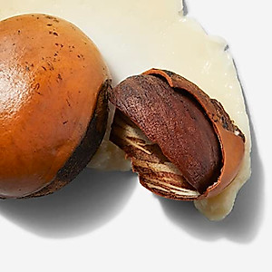 Olay Regenerist Shea Butter + Peptide 24 Rich Cream Face Moisturizer, Fragrance Free, 1.7 oz (48g)