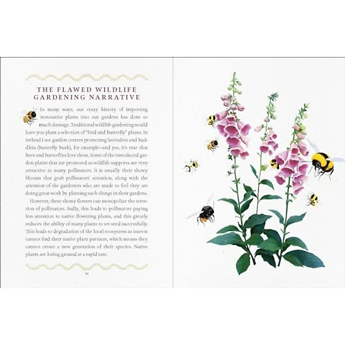 We Are the ARK: Returning Our Gardens to Their True Nature Through Acts of Restorative Kindness