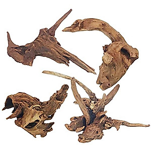 PINVNBY Natural Driftwood for Aquarium Fish Tank Decorations Assorted Branches Dearded Dragon Tank Accessories Terrarium Decor 4 Pack