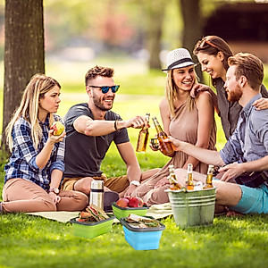 ABSOK 2 Pcs Collapsible Food Storage Containers with Lids and Vent, Silicone Food Storage Containers, Microwave Freezer Dishwasher Safe