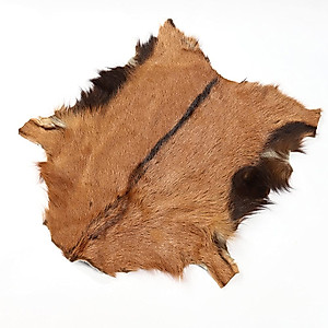 Natural Tanned Sheep Skin Antelope Fur Goat Hide Pelts Skin Springbok Fur Hide Pelt Rug Taxidermy Hunting Trophy and Fur Plush Fur Clothing Liner Bag Accessories 1PCS (16X16IN)