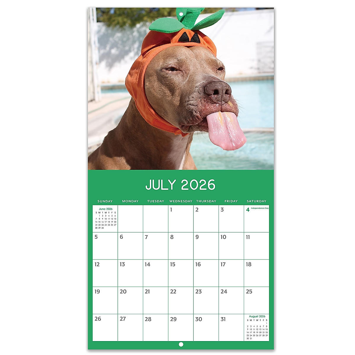 2023-2024 Wall Calendar - Cute Puppies Wall Calendar 2023-2024, Fun Dogs Wall Calendar, Jan. 2023 - Jun. 2024, 12'' x 12'' (Closed), 12'' x 24'' (Open), Dog Calendar, Hanging Hole, Holidays