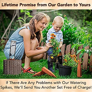 Upforesy 6 Pack Terracotta Watering Spikes for Indoor and Outdoor Plants - Simple and Easy Setup - Keep Plants Happy and Watered While You are Away