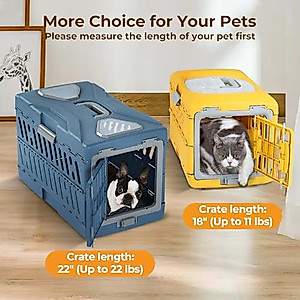 FULUPET Collapsible Dog Crate, 22 Inch Collapsible Dog Kennel, Travel Dog Crate Breathable Travel Carrier, Foldable 360° Ventilation Lightweight Travel Crate for Small Dogs and Cats