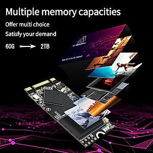 Kingshark M.2 2242 SSD 64GB Ngff Internal Solid State Drive High-Performance Hard Drive for Desktop Laptop SATA III 6Gb/s Includes SSD (64GB, M.2 224