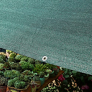 75% Shade Cloth for Plants 2 Ft × 3.3 Ft Greenhouse Shade Cloth for Protect Vegetable Plants Fruits Flowers Crops - Green