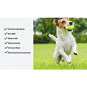 (2 Packs) Benefita Hemp Pet Oil for Dogs and Cats. Anxiety, Stress, Pain, Inflammation, Skin, Allergies, Relief Joint Hip, Arthritis, Sleep Aid, Calming Effect, Oil Dropper Organic Extract, amber