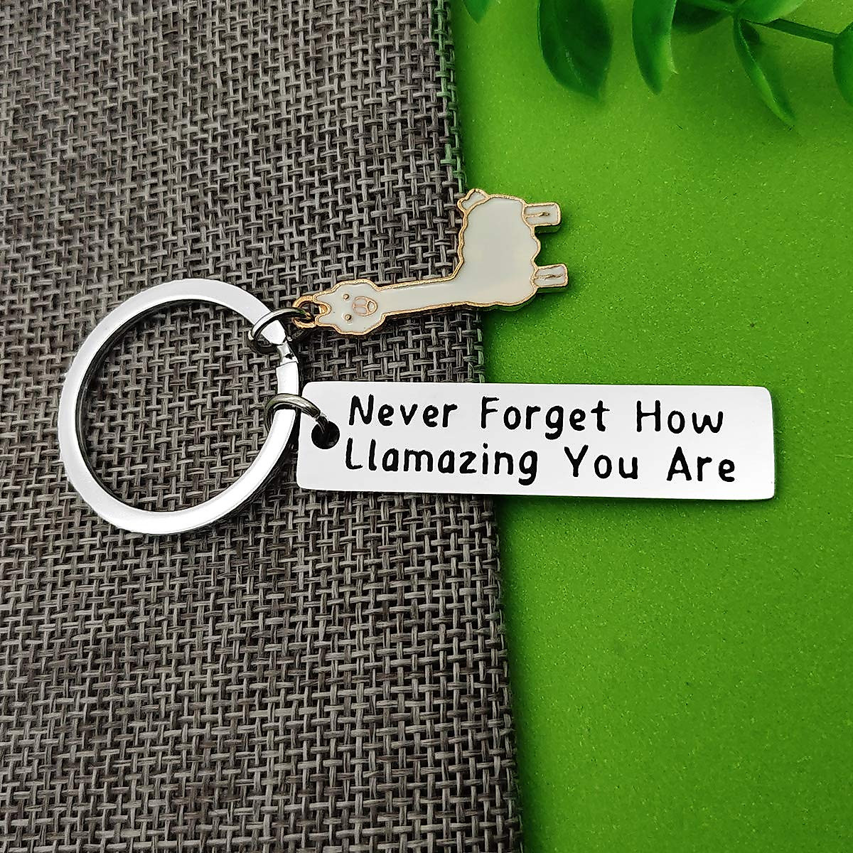 Baipilu Llama Keychain Llama Gift Never Forget How Llamazing You are Keychain for Women Alpaca Gifts Animal Lover Gift Inspiring Inspired Motivational Keychains for Women,birthday gift for friends