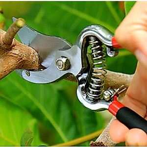 Garden Guru Indestructible All Steel Pruning Shears Scissors Clippers - Professional Bypass Hand Pruner - High Performance Forged Steel - Comfort Grip Handles - Perfect for Gardening Trimming Pruning