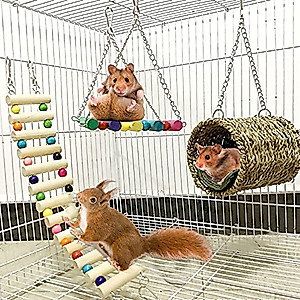 Hamiledyi Hamster Climbing Bridge, Small Animal Ladder Hammock Swing Set Toys for Bird Guinea Pig Chinchilla