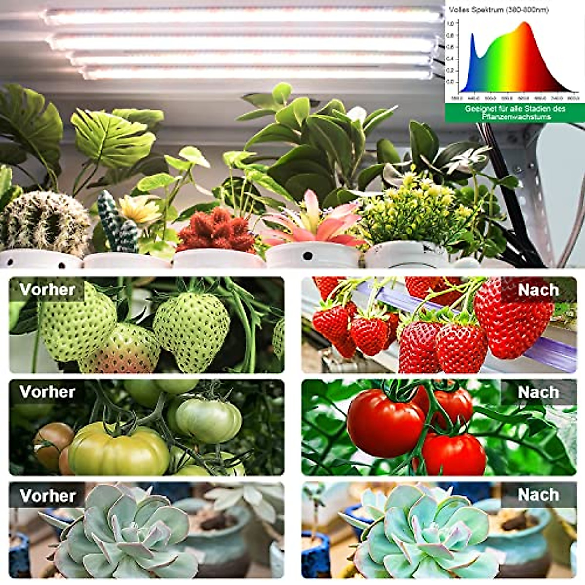 Kullsinss LED Grow Light Strips, 240 LEDs Full Spectrum Grow Lights for Indoor Plants with Auto ON/Off Timer, 10 Dimmable Levels, Plant Growing Lamps for Greenhouse Shelves Seed Starting