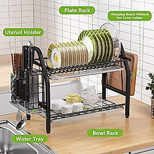 1Easylife Dish Drying Rack, 2 Tier Dish Rack Stainless Steel with Utensil Knife Holder and Cutting Board Holder Dish Drainer with Removable Drain Board for Kitchen Counter Organizer Storage