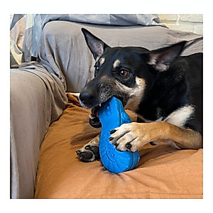 GALAPETGP: Dog Chew Toys. for Aggressive Chewers. Ultra Durable Squeaky Dog Toys. Heavy Duty Chew Toys for Medium & Large Dogs. Includes Free Lint Remover (Green)