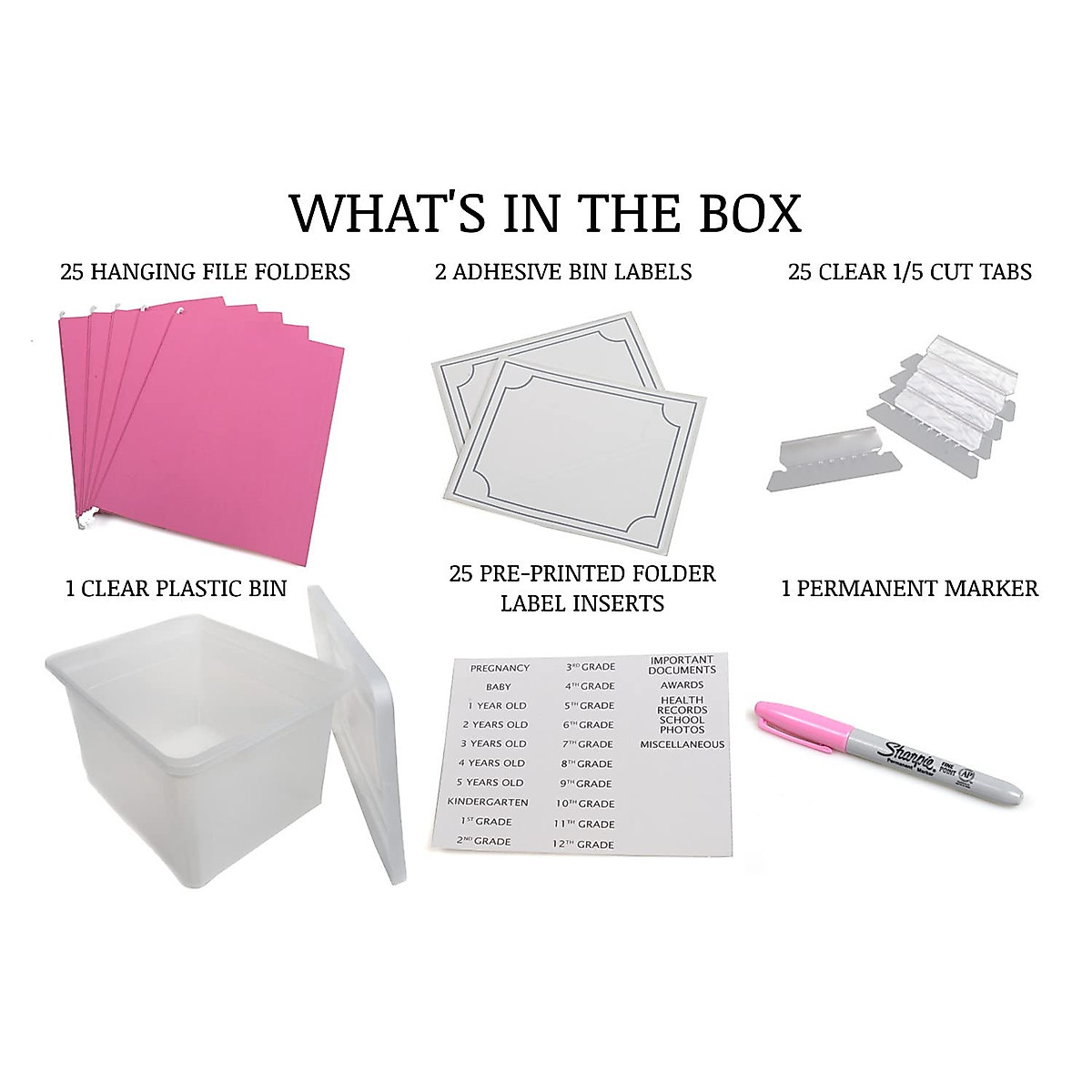 Kid's Craft Memory Keepsake Organizer Box - Clear Storage Latching Bin with Hanging File Folders and Custom Tab Inserts (Pink)