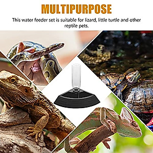 Balacoo Reptile Water Feeder Automatic Water Dispenser Waterer Feeding Accessories for Turtle Bearded Dragons Lizards Geckos Pet Lizard Drinking Tray Black
