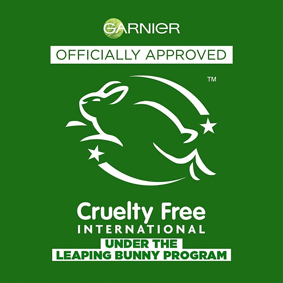 Garnier Fructis Color Shield Fortifying Conditioner 12 Fl Oz (Pack of 2)