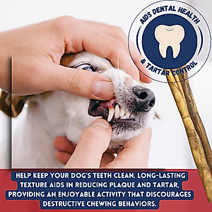 Fresh Farms Natural Collagen Sticks for Dogs 12 Pack - 12 Inches Long-Lasting Alternative to Bully Sticks, Rawhide-Free Collagen Chews w/Chondroitin & Glucosamine for Joint Support & Dental Health