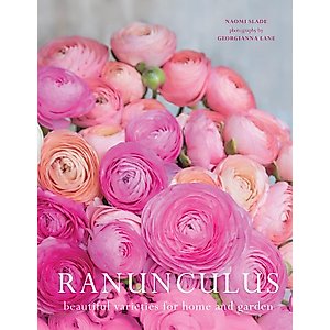 Ranunculus: Beautiful Varieties for Home and Garden