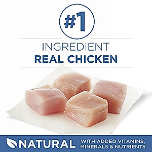 Purina ONE Grain Free, Natural Senior Pate Wet Cat Food, Vibrant Maturity 7+ Chicken & Ocean Whitefish Recipe - (Pack of 12) 3 oz. Pull-Top Cans