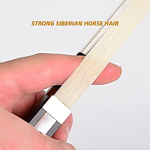 WinsterBow Brazilwood Ebony Violin Viola Cello Bow Full Size Ebony Frog with Natural Horsehair (viola Bow 4/4)