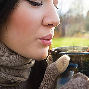 Village Candle Mulled Cider Large Glass Apothecary Jar Scented Candle, 21.25 oz, Red