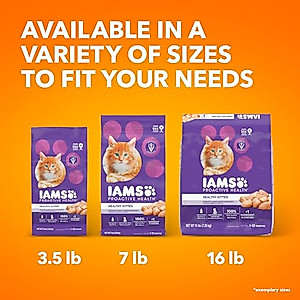 IAMS PROACTIVE HEALTH Healthy Kitten Dry Cat Food with Chicken, 7 lb. Bag