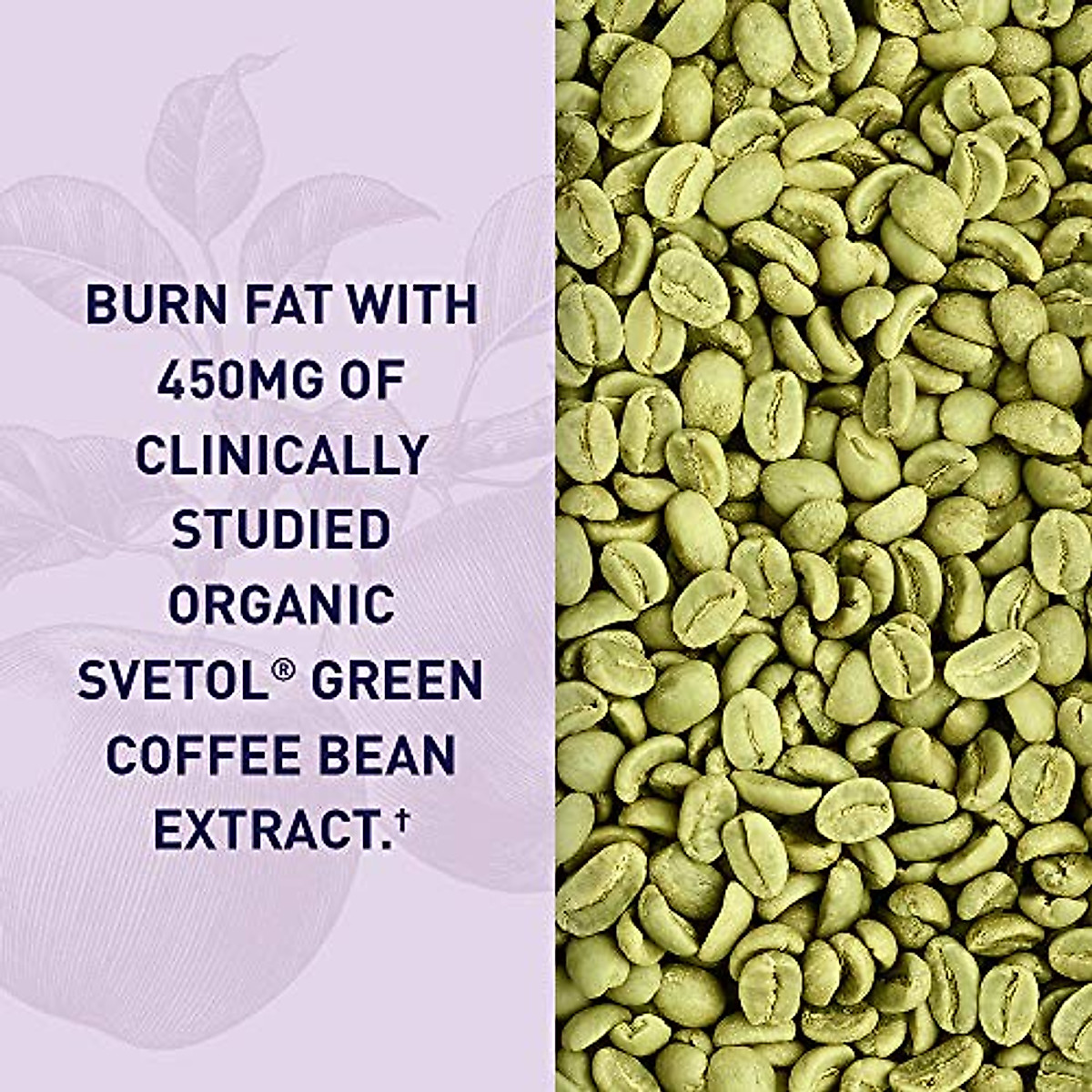 Garden of Life Apple Cider Vinegar Diet Gummies mykind Organics - Organic ACV Gummy Vitamins with Svetol Green Coffee Bean Extract to Burn Fat - 63 Vegan Non-GMO Gummies for Weight Loss & Detox