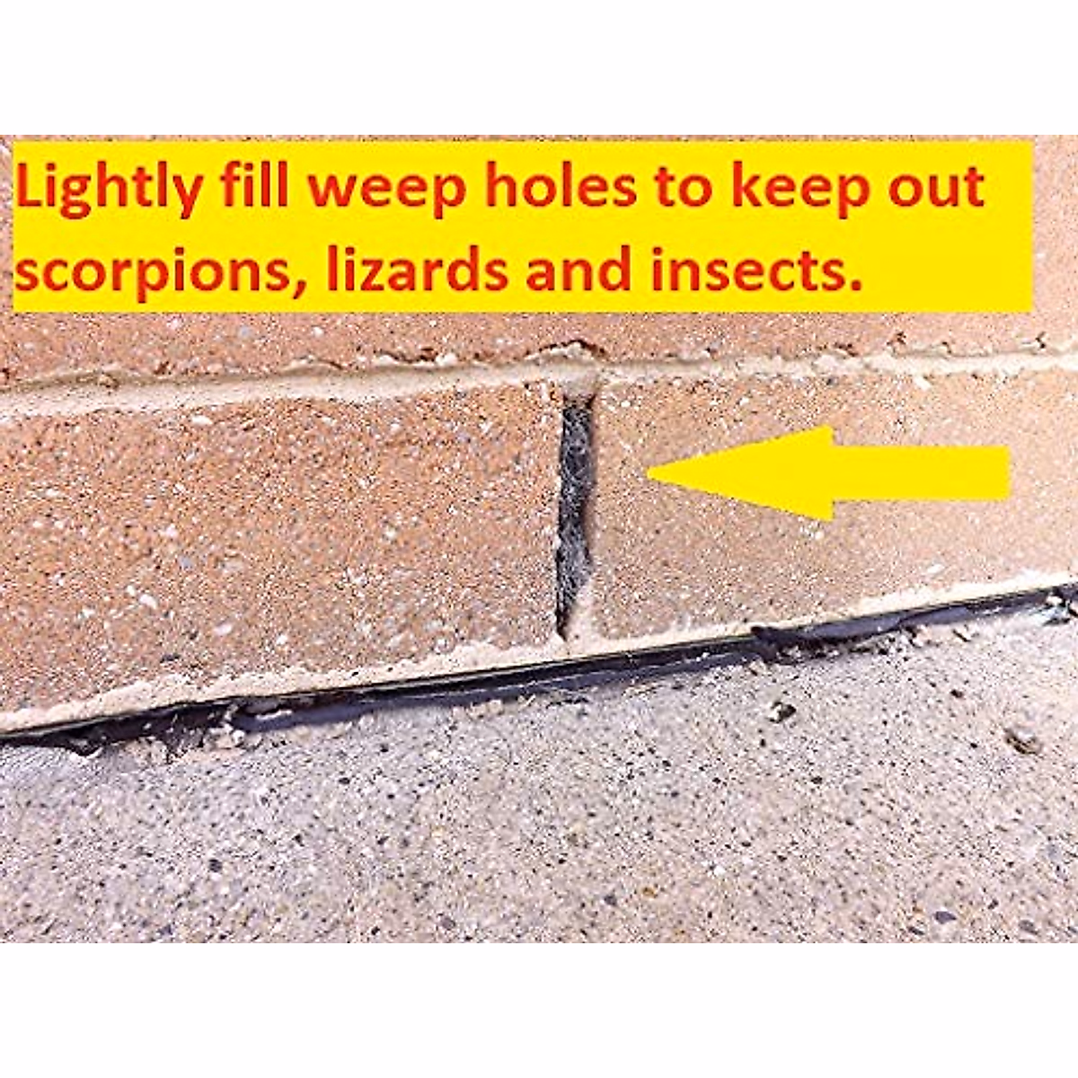 PESTPLUG - 25 Feet Stainless Steel Wool/Garland DIY Kit/Gap Blocker to Keep MIce & Rodents Out. Does NOT Rust! Fill Fabric, Plug Holes, Siding, Pipes in Homes, Garages, Farm Buildings, RV's