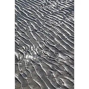 Posterazzi PDDUS10LEN1051 Ripples in The Sand, Beach at Honeymoon Island State Park, Dunedin, Florida, USA Photo Print, 18 x 24, Multi