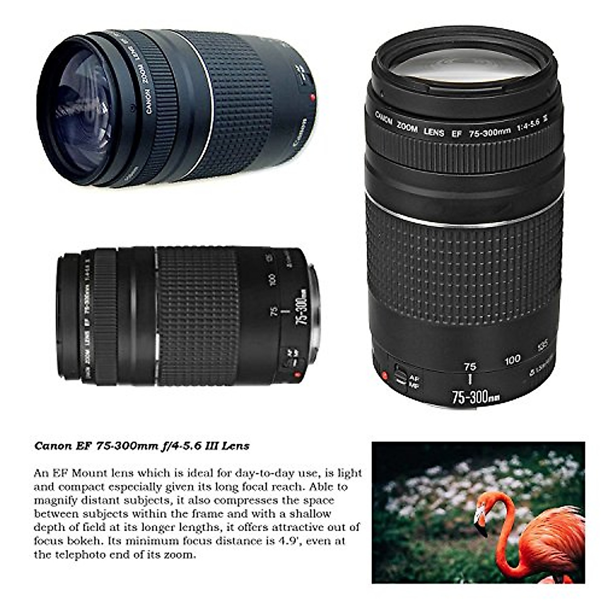 Canon EOS 6D Mark II DSLR Camera w/ 24-105mm STM Lens Bundle + Canon EF 75-300mm III Lens, Canon 50mm f/1.8 and 500mm Preset Lens + Deluxe Backpack + 64GB Memory + Monopod + Professional Bundle