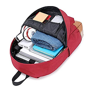abshoo Classical Basic Womens Travel Backpack For College Men Water Resistant Laptop School Bookbag (USB Red)