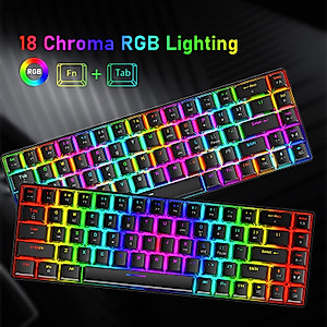 SELORSS T8 Pro 60% Wired Mechanical Gaming Keyboard,18 Chroma RGB Backlight,Compact 68 Full Anti-ghosting Keys,Replaceable USB C Cable&DIY keycaps,Tactile Switch for Gamer/Typist/PC/Win/Mac(Blue)