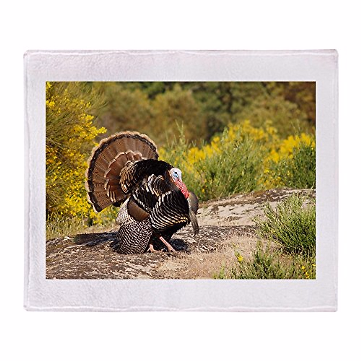 CafePress Wild Turkey Gobbler Throw Blanket Super Soft Fleece Plush Throw Blanket, 60"x50"