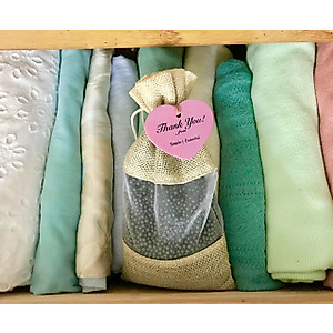 SimpleAndEssential Activated Carbon Moisture Absorber Deodorizer Bags (2 x 250g bags)