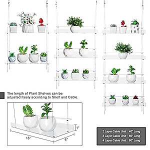 Clear Hanging Window Plant Shelves,Indoor Windows Wall Hanging Plant Stand Flower Display,Flower Pot Organizer Storage for Window Grow Herbs,Microgreens,Succulents,Flower (3 Layer)