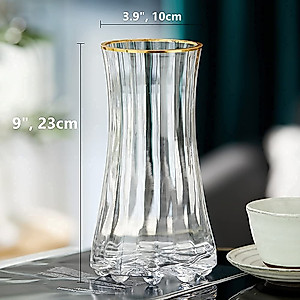 Moreast Glass Flower Vase for Home Office Decor, Crystal Clear Vase with Gold Rim and Ribbed Texture for Flower Arrangement, Spring Garden Vase 9" Tall