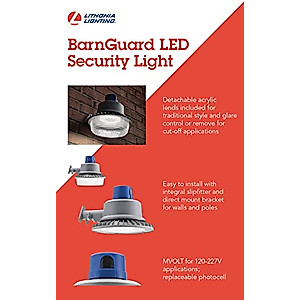 Outdoor BGR P2 LED Dusk-to-Dawn Security Light in Grey 4000k