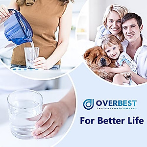 Overbest OB7010 Replacement for Pur Pitchers and Dispensers CRF-950Z, PPF951K, PPT700W, CR-1100C, DS-1800Z and PPF900Z Water Filter, NSF Certified Pitcher Water Filter (3 Pack)