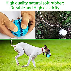 MMSGA 2 Pcs Dog Toy Teeth Ball,Dog Puzzle Toy,Treat Dispensing Dog Toys,Non Toxic Tear Resistant Natural Rubber Toy Ball for Pet Teeth Cleaning/Chewing/Playing/Training (Blue+Blue, 2.36in)