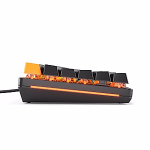 Glorious Gaming Keyboard - GMMK 2 - TKL Hot Swappable Mechanical Keyboard, Red Switches, Wired, TKL Gaming Keyboard, Compact Keyboard - Full Size Keyboard (Black RGB Keyboard) (Renewed)