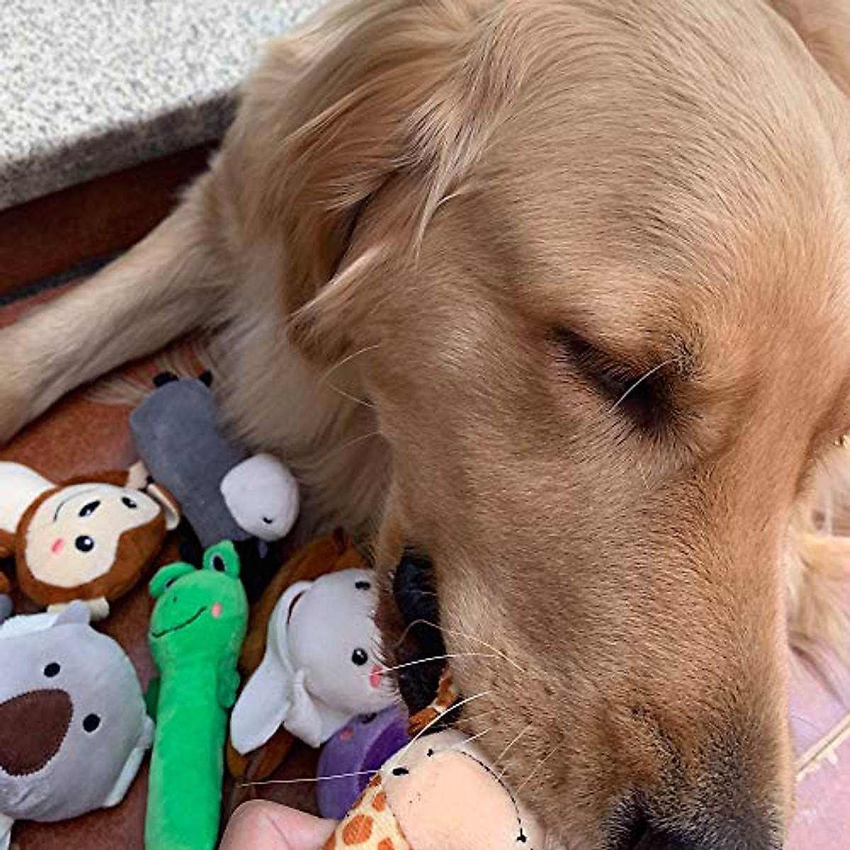 Jalousie 12 Pack Plush Animal Dog Toy Dog Squeaky Toys Cute Pet Plush Toys Stuffed Puppy Chew Toys for Small Medium Dog Puppy Pets - Bulk Dog Toys (12 Pack Animal)