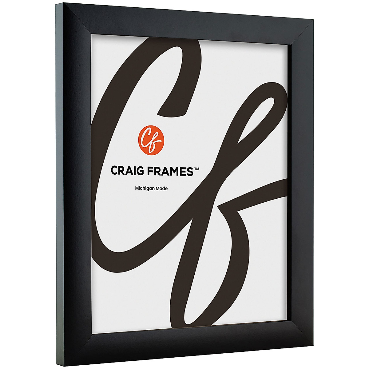 Craig Frames 16x20 Picture Frame, Modern Black with Plexiglass for Posters, Art, and Photography