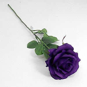 CHUXAY GARDEN Purple Rose Seed 100 Seeds Rare Rosa Bush Heirloom Perennial Flowering Plant Striking Bush Vine Climber