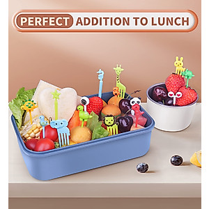 DOUDOULE 160PCS Food Picks for Kids with Storage Box, Kids Lunch Accessories for Bento Box, Animal Kids Food Picks for Picky Eater, Cute Toothpicks for Food Fruit, Fun Toddler Food Picks